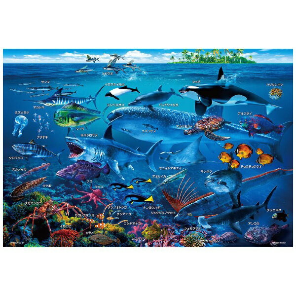 リアルなイラストで海の生物を覚えちゃおう！【仕様】・ピース数： 100ピース・完成時サイズ： 38×26cm・対応パネルNo．： 3