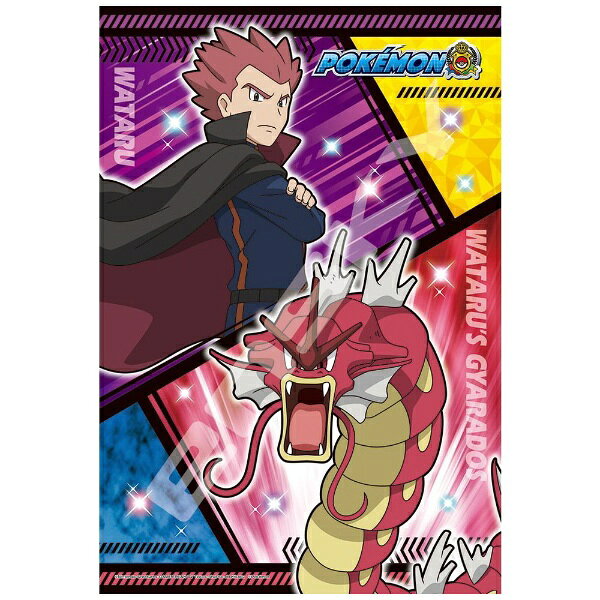 アニメで活躍中のポケモンとトレーナーをフィーチャーしたイラストのジグソーパズルが発売です。【仕様】・ピース数： 300ピース・完成時サイズ： 26x38cm・対応パネルNo．： 3（C）Nintendo・Creatures・GAME FRE...