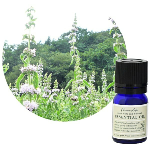 薄荷（はっか）から抽出した精油です。薄荷（はっか）は数多くあるミント種の中で、メントール成分の含有量が群を抜いて多いことが特徴です。夏は涼しく、冬は風邪花粉の対策に一年中使える精油です。【ハーブ系】清涼感と甘さのある香り