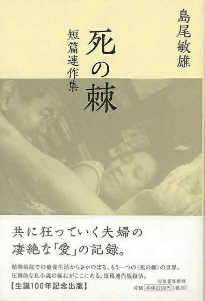 精神を病んだ妻と、その原因となった罪障を抱えた作家との日常生活の修羅場を描く私小説の極北。長篇版より早い時期に書かれた作品から始まる短篇集版。