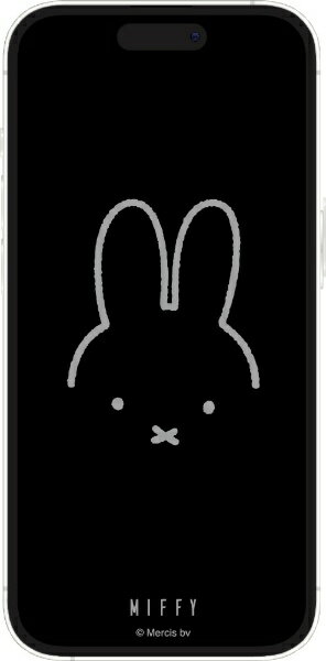 超高透明でキズにも強い、iPhone14 Pro対応マルチタッチディスプレイ保護フィルムです。高硬度9H強化ガラスを使用し、マルチタッチディスプレイをキズやホコリから守ります。画面消灯時にフィルムデザインが浮かび上がります。※画面点灯時でも...