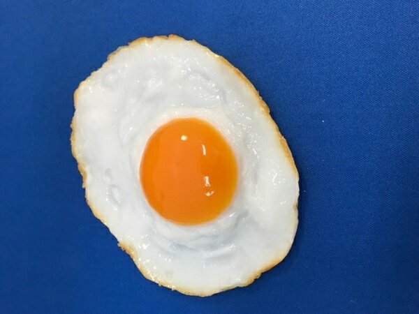 職人が作る本気の食品サンプル。1点1点手作りの為、制作にお時間を頂戴する場合がありますので予めご了承ください。