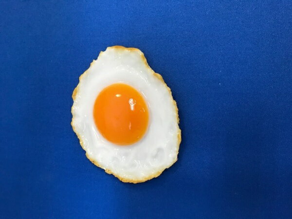 職人が作る本気の食品サンプル。1点1点手作りの為、制作にお時間を頂戴する場合がありますので予めご了承ください。