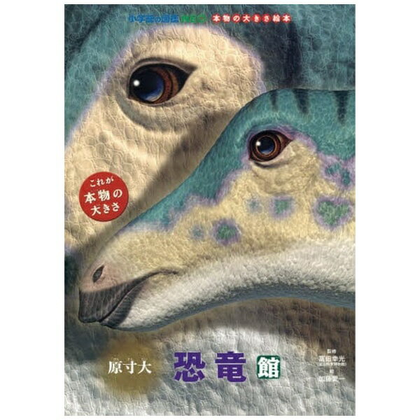 大昔に生きた恐竜たちの姿を、原寸大のイラストや骨格標本写真で紹介する子供向け大型絵本。ティラノサウルスやアパトサウルスなどの人気恐竜を、細密で大迫力の原寸大イラストで再現し、その面白さを紹介します。
