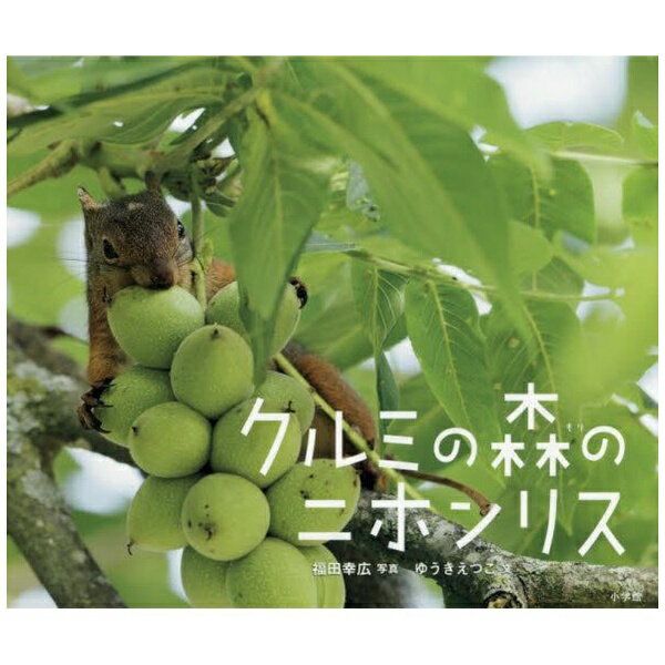文・ゆうきえつこ、写真・福田幸広「クルミの森のニホンリス」【内容】ニホンリスの自然のすがたが満載！長野県八ヶ岳山麓のクルミの森にすむニホンリスを、何年も密着して撮影した、写真科学絵本です。食事、巣づくり、子育てなど、なかなか見られない自然な...