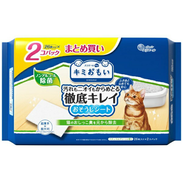 ニオイのもとから消臭！！・ノンアルコール除菌。ナチュラルグリーンの香り。破れにくくてしっかりふける大判厚手のピロータイプ。フロアワイパーにも取り付けられます。・ふきあとなめても安心。・消臭成分カキタンニン配合。ネコちゃんのトイレ臭を除去。ネ...