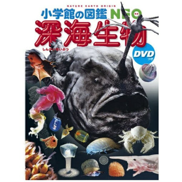 最大規模の掲載種数。深海生物を大紹介！現代においても、未だ謎の多い深海の世界。不思議な魚デメニギス、暗黒の海にすむダイオウイカ、ラブカ、ミツクリザメ、水族館の人気者ダイオウグソクムシをはじめ、超深海にすむ謎の魚マリアナスネイルフィッシュなど...