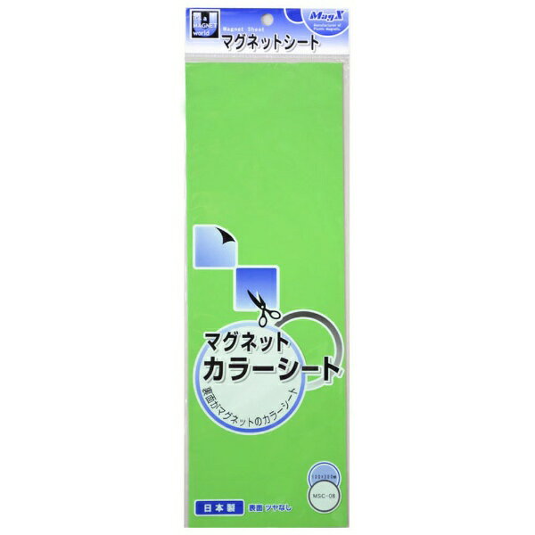 イラストや文字を書き込むのに便利なマグネットシート。表面は「ツヤなし」加工がされています。油性ペンなどで書き込むことができますが、一度書いたものは消せません。本体サイズ(mm)：W100 x H300 x T0.8材質：PP、マグネットシート