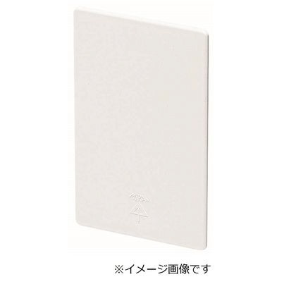 ●入数（個）： 1●色： チョコレート●モール用スイッチボックス1ヶ用●モール用スイッチボックスをジョイントボックスとして使用する場合の化粧プレートです。（取り付けは、はめ込むだけでOKです。）