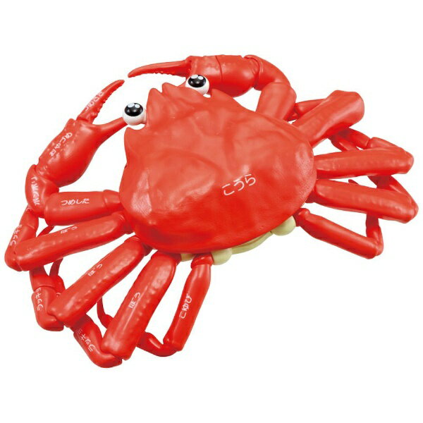 遊んで学べる「本ズワイガニの部位がわかるパズル」が登場！ばらばらの41パーツを組んで本ズワイガニを完成させよう！新規パーツの「内子」を組めば雌のカニに、「かにみそ」を組めば雄のカニに選んで組み立てることができます。「こうら」や「かたにく」は...