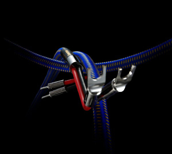 導体構成は、超高純度7NクラスCu、高機能純銅線HiFC、高純度無酸素銅線PCUHD、高純度無酸素銅OFCの4種類の素材を独自の黄金比でハイブリッド。制振対策、外来ノイズ対策も万全です。端子は、厚手のロジウムメッキを施したオリジナルプラグで...