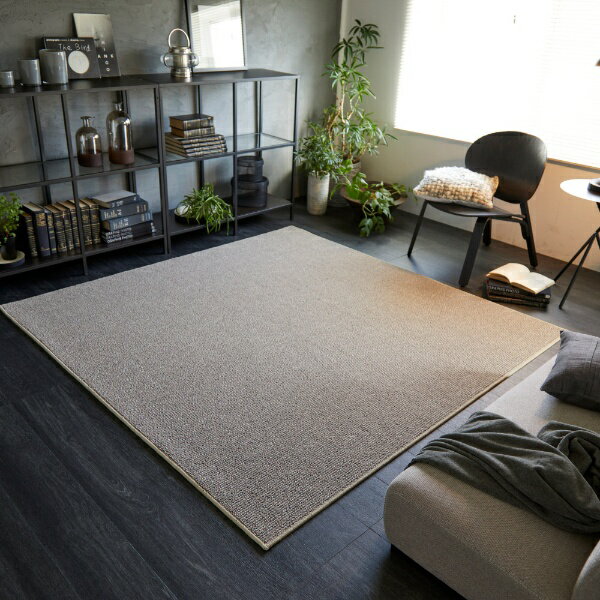 《BIG SIZE RUG》ホテルのカーペットのような優れた高耐久性。深みのある印象を表現したカーペットです。■滑り止めフローリングなどの床材上で使用していただいた場合でもラグが滑りにくい加工を施した製品です。■防ダニ加工ダニが嫌がる成分を...