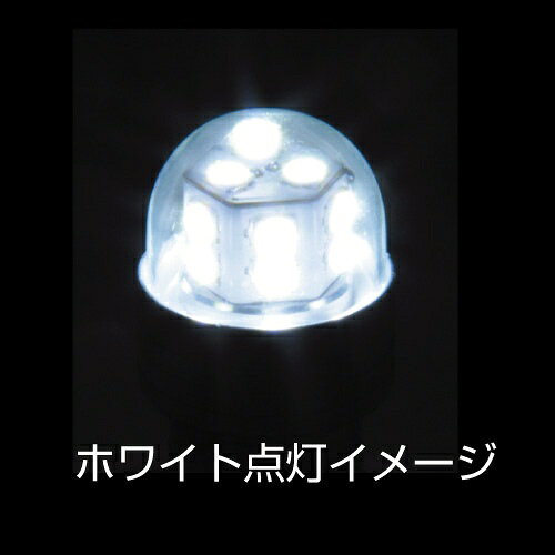 LC-02　ハイパワーLEDバルブNEOplus