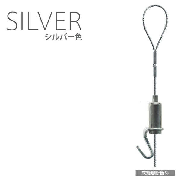 フック形状の自在金具とワイヤーがセットになった吊下げ金具です。額、ポスター等を好きな高さに簡単に移動させることが可能です。上下の移動はピンを押すだけ！無段階で位置調節が可能です。ワイヤー、フックを黒色に塗装済み。室内の雰囲気にあわせてお使い...