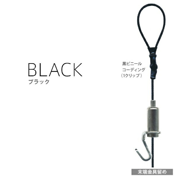 フック形状の自在金具とワイヤーがセットになった吊下げ金具です。額、ポスター等を好きな高さに簡単に移動させることが可能です。上下の移動はピンを押すだけ！無段階で位置調節が可能です。ワイヤー、フックを黒色に塗装済み。室内の雰囲気にあわせてお使い...