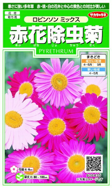 赤・桃・白の花弁と中心の黄色との対比が美しい。