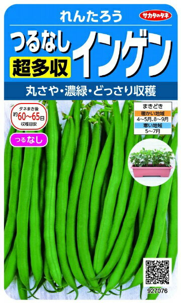 丸さや・濃緑・どっさり収穫。