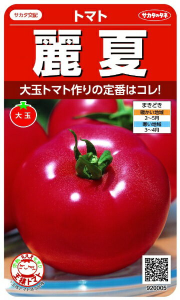 大玉トマト作りの定番はコレ！