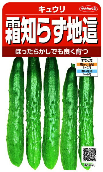 ほったらかしでも良く育つ。