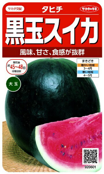 風味、甘さ、食感が抜群。