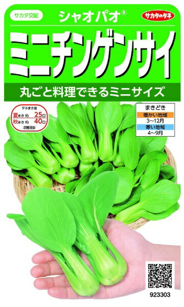 丸ごと料理できるミニサイズ。