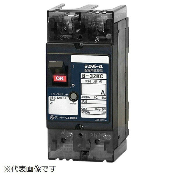 ●定格使用電圧： 100-100/200-200V●定格電流： 20A●極数： 2P●素子数： 2E●フレーム： 30AF●端子仕様： 線押え方式 圧着端子使用可能●逆接続： 可能●過電流引外し方式： 熱動電磁●定格電圧・DC： 125V●...