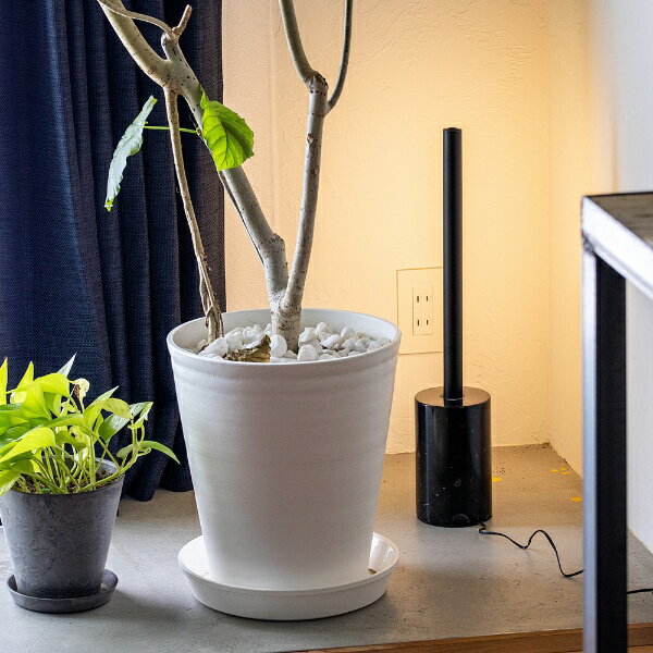 スリムでスタイリッシュなバータイプの間接照明ネオマンクスショートモデルです。今までのマンクスじゃ長すぎると思っている方や、すでにマンクスを使っていて追加を考えている方におすすめ。もちろん既存のマンクスのリモコンで操作できます。テレビの背面を...