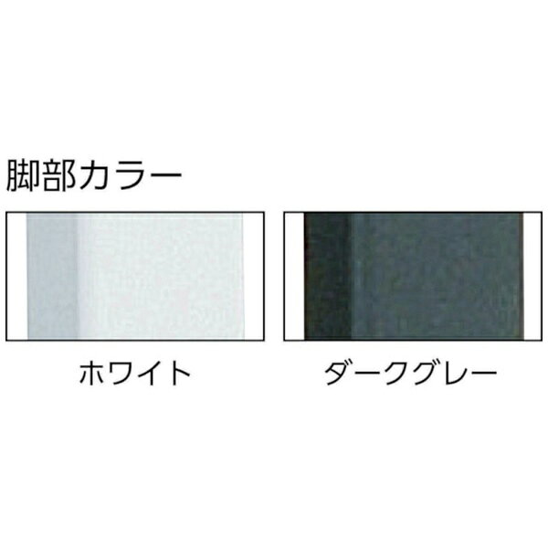 ■仕分けに便利な2段引出し付です。■引出しは使い勝手に応じて使いやすい位置に取り付けできます。■主要部が溶接構造のため耐久性に優れています。■ポリ化粧天板を使用し、表面は滑らかで、ソフトな光沢があり清潔感を保持し、耐水性・防汚性にも優れてい...