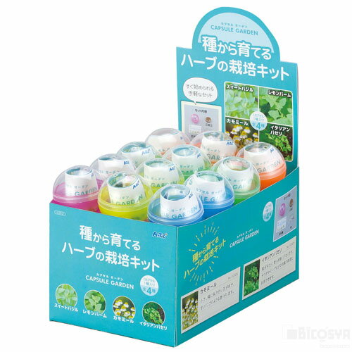 種から育てるハーブの栽培キット 全4種　各6個入り サイズ：組立後サイズ：230×200×120mm セット内容：スイートバジル、レモンバーム、カモミール、イタリアンパセリ　各6個 重量：110g 材質：土、PP、種(スイートバジル、レモン...