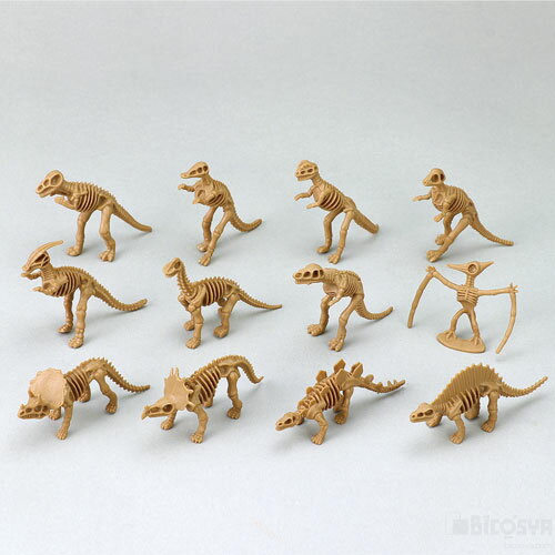 様々な種類の恐竜骨格！種類違いの恐竜の骨格が分かるフィギュア サイズ：160×150×40mm セット内容：恐竜フィギュア各種12個 重量：95g 材質：PVC 包装形態：ヘッダー付き袋入り 恐竜骨格フィギュア12体入り（イベント プレゼン...