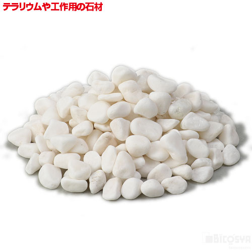 テラリウムや水槽のレイアウトに最適！テラリウムや工作用の石材 サイズ：100×193×25mm セット内容：富士砂利 250g ×1、ラミジップ スタンドタイプ LZ-10 重量：255g 材質：石材 包装形態：ヘッダー付きスタンド袋 コブ...