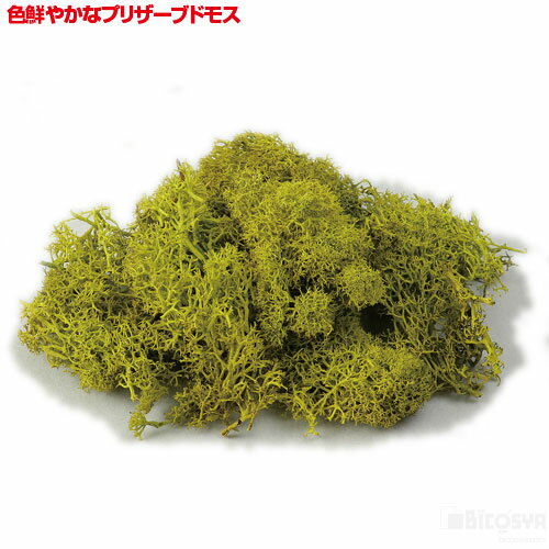 グリーンアレンジメントに最適！きれいな状態で長く楽しめます。色鮮やかなプリザーブドモス サイズ：91×155×30mm セット内容：プリザーブドモス10g 重量：15g 材質：苔 包装形態：袋入り アイスランドモススプリンググリーン（工作キ...