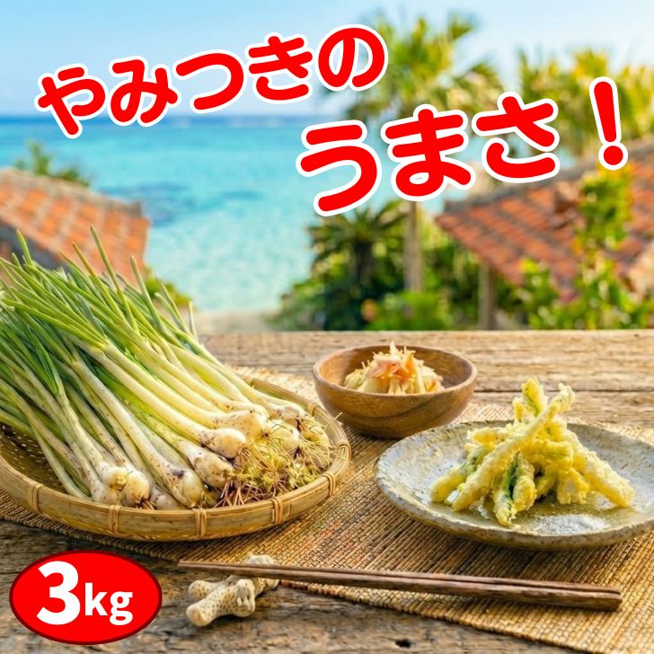 島らっきょう 3kg 沖縄 伊江島産 氷温熟成 大容量 鮮度抜群 土付き 生 島ラッキョウ おつまみ 天ぷら ギフト 贈答 送料無料 生 塩漬け キムチ ふるさと 伊江島 種 苗 島らっきょ 5％OFFクーポン 【 5％OFFクーポン 】 ...