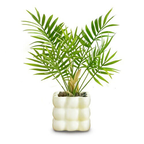 光触媒 フェイクグリーン ミニ観葉植物 熱帯観葉植物 チャバヤシセラミック材質角型鉢 造花 観葉植物 フェイク 鉢付き おしゃれなインテリア雑貨 世話不要 水やり不要 玄関・オフィス・ホーム・ホテルに最適 ギフトにも 結婚式祝い ?【お世話...