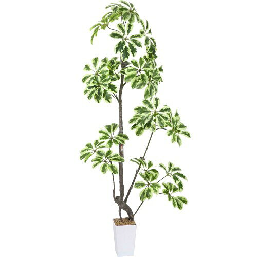 フェイクグリーン 人工観葉植物 観葉樹 造花 高さ125cm 光触媒 空気清浄 世話がない 屋内 ホーム 玄関 オフィス インテリア おしゃれ 【仕様】この人工観葉植物の高さは125CMです。耐久性のある高品質のPE素材で作られています。肌...