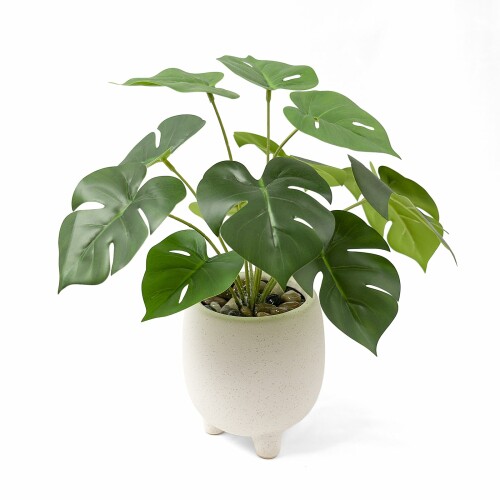 WillingYou フェイクグリーン モンステラ 一体型 人工観葉植物 陶器鉢付き 高さ32cm｜届いてすぐ飾れる おしゃれ インテリアグリーン 水やり不要 ギフトにも (1) リアルなモンステラでお部屋を華やかに: 存在感のあるモンステ...