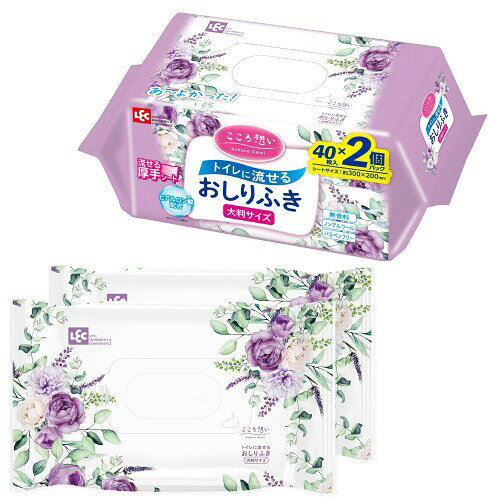 レック(LEC) こころ想い 大人用 トイレに流せる おしりふき 大判サイズ (30×20cm) 40枚×2P / 丈夫なシートでしっかり拭ける/日本製/無香料/ヒアルロン酸配合 シートサイズ:約300x200mm/大判サイズ/40枚入×2...