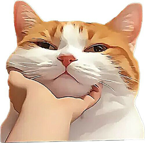 オレンジキャット Cared by Handファニーカーバンパーステッカー2枚、5インチビニールデカール、防水、ダイカット 車、窓、ノートパソコン用 M-13 当社のビニールステッカーは高品質の素材で作られており、屋内と屋外の両方での使用に...