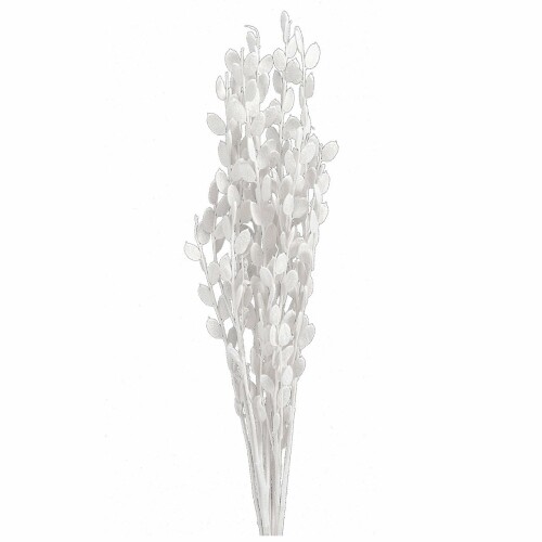 大地農園 ドライフラワー ポアプランツ シロ 約L40.0cm 15g入 DO042020-011 約L40.0cm 主な素材:天然素材 原産国:日本国 ドライフラワー ナチュラル素材 フラワー(ドライ) ドライフラワーの鑑賞期間としては3...