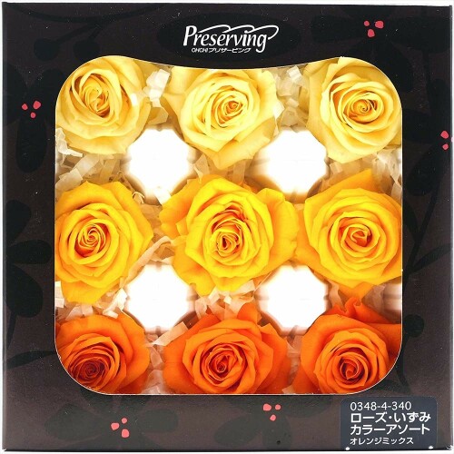 大地農園 プリザーブドフラワー ローズ?いずみ?カラーアソート オレンジミックス 約花径3.5~4.5×H3~3.5cm 9輪入 DO003484-340 約花径3.5~4.5×H3~3.5cm 主な素材:天然素材 原産国:日本国 プリザー...