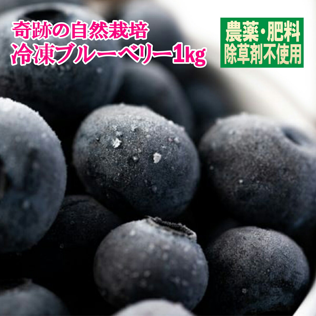 これはうまい！ 信州 松井農園 自然栽培 奇跡の冷凍ブルーベリー 1kg 農薬完全不使用 無肥料 循環型栽培だから皮ごと食べても安心安全でとてもおいしい 残留農薬や残留肥料成分などの有害物質や、着色料や加糖などの全ての添加物の心配なしに、安...