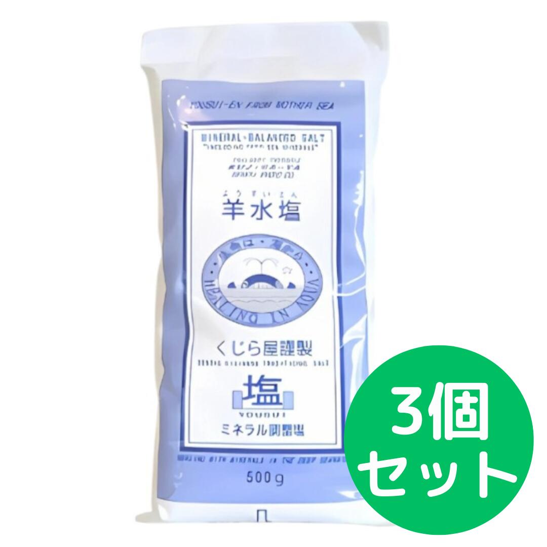 羊水塩 500g【3個セット】美容 入浴剤 ミネラルを人体液と同様に配合 ミネラル調整塩 真の安らぎを『羊水浴』で実感してください 真の安らぎを『羊水浴』で実感してください生命の源『太古の海』と『羊水』を再現する《羊水塩》《羊水塩》は一般の...