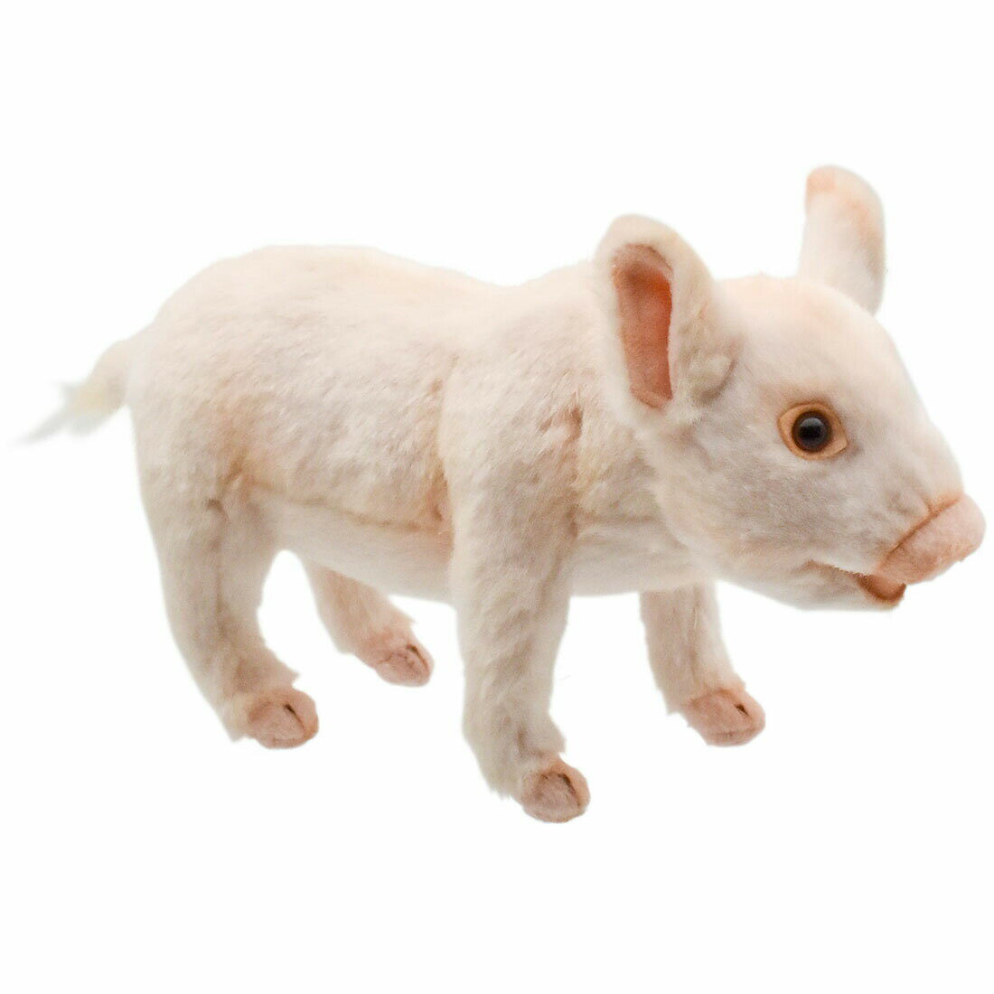 メーカー希望小売価格はメーカーカタログに基づいて掲載しています" ■買い回り対象! 送料込み1000円〜　オススメ商品!! 　次亜塩素除菌水の素 大容量> 　除菌水の素 便利な個装パック 　　快晴&amp;交通安全のお守り 　豪州の人気ぬい...