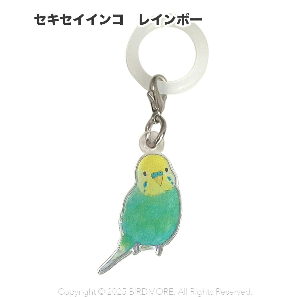 よく一緒に購入されている商品aoamo アクリル キーホルダー　セキセイイ1,210円aoamo アンブレラマーカー　セキセイインコ770円TOMO YAMASHITA DESIGN S440円　類似商品はこちらaoamo アンブレラマーカ...