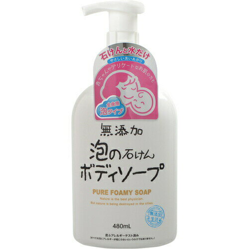 無添加 泡の石けん ボディソープ 480ml 商品説明 『無添加 泡の石けん ボディソープ 480ml 』 ポンプを押すだけでクリーミーな泡が出てくるので、泡立てが苦手なちいさなお子様にも使いやすい泡タイプの石けんです。植物生まれのクリーミ...