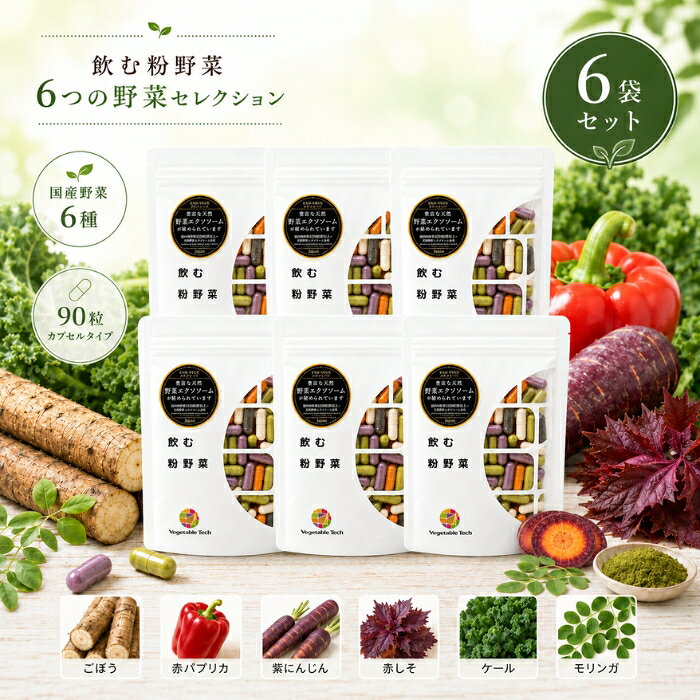 2026/10/13 更新 ■ 商品情報 商品名：飲む粉野菜 6つの野菜セレクション 90粒 ベジタブルテック 野菜パウダー 国産100％ サプリ 野菜不足 カプセル 粉末 国産 JANコード：4595120931175 メーカー：ベジタブ...