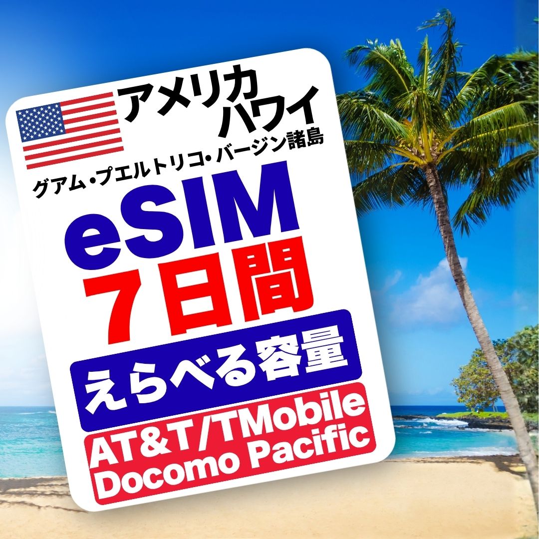 🕘24時間以内にメール納品🕙　メールで納品が完了するので、お届けする荷物はありません。出張などでお急ぎの方、急な海外利用でも安心！（メールが届かない場合、迷惑メールフォルダ・広告メールをご確認ください。） &...