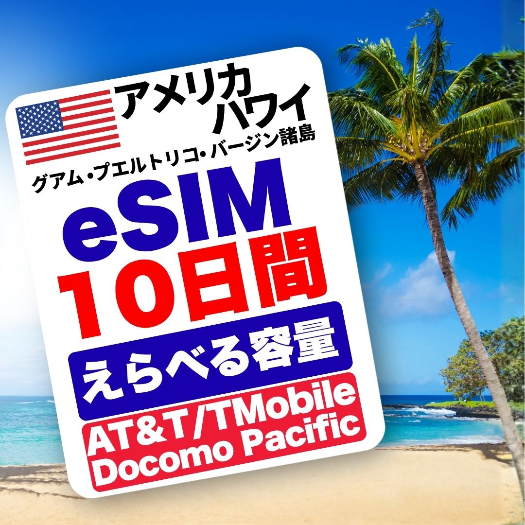🕘24時間以内にメール納品🕙　メールで納品が完了するので、お届けする荷物はありません。出張などでお急ぎの方、急な海外利用でも安心！（メールが届かない場合、迷惑メールフォルダ・広告メールをご確認ください。） &...