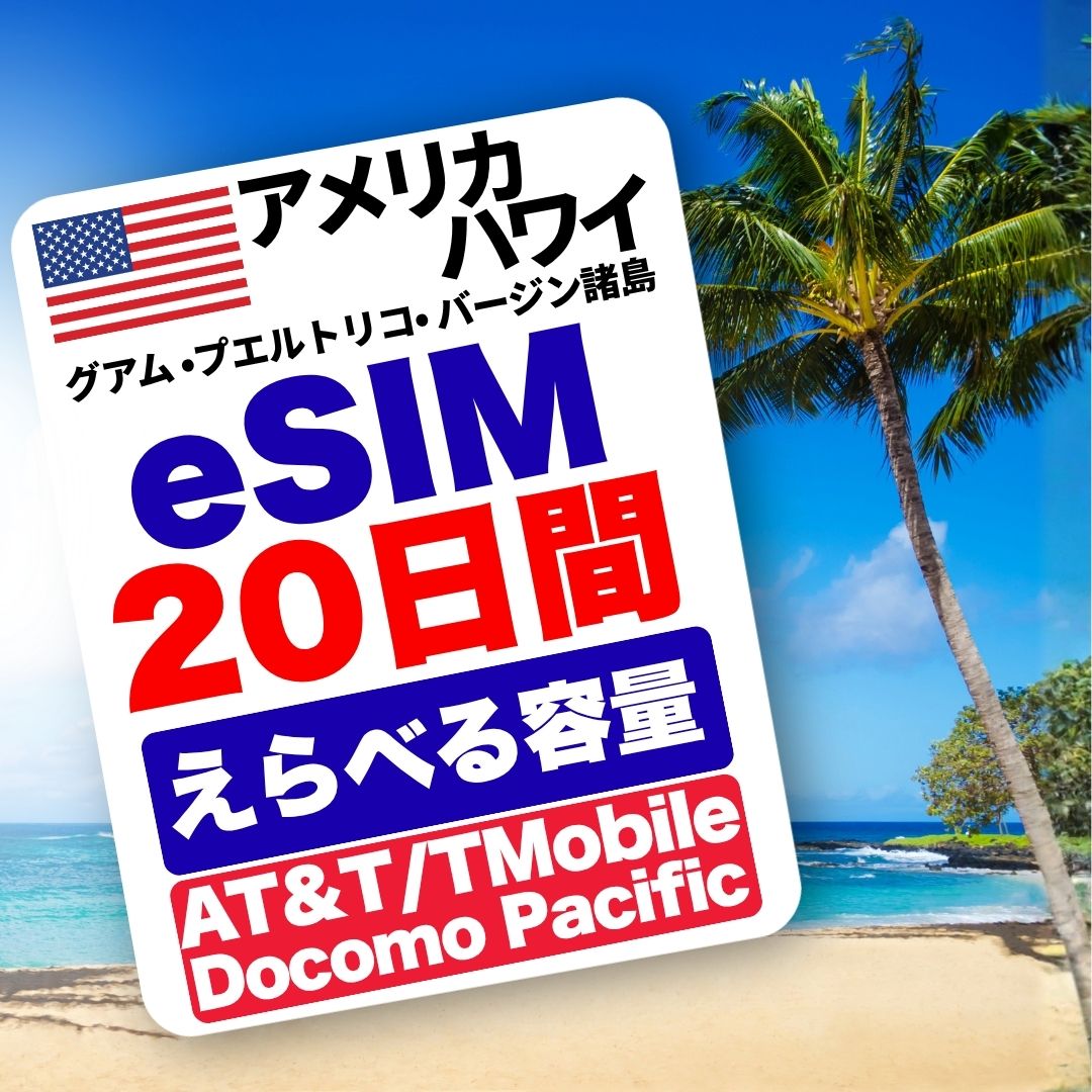 🕘24時間以内にメール納品🕙　メールで納品が完了するので、お届けする荷物はありません。出張などでお急ぎの方、急な海外利用でも安心！（メールが届かない場合、迷惑メールフォルダ・広告メールをご確認ください。） &...