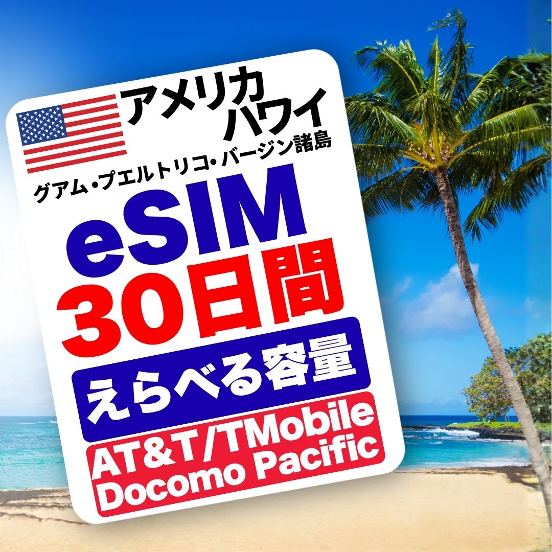 🕘24時間以内にメール納品🕙　メールで納品が完了するので、お届けする荷物はありません。出張などでお急ぎの方、急な海外利用でも安心！（メールが届かない場合、迷惑メールフォルダ・広告メールをご確認ください。） &...